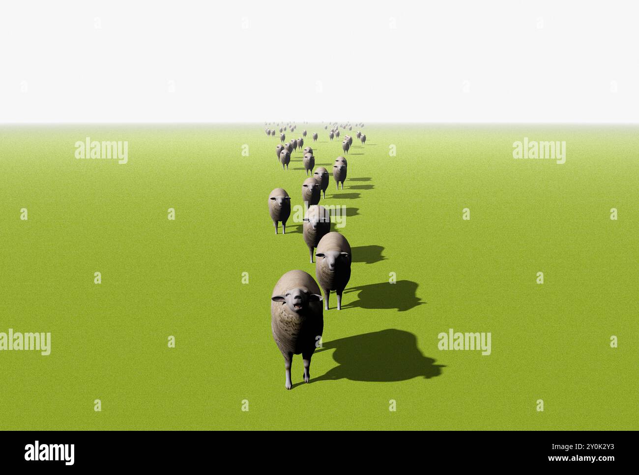 Matrix of sheep Stock Photo - Alamy