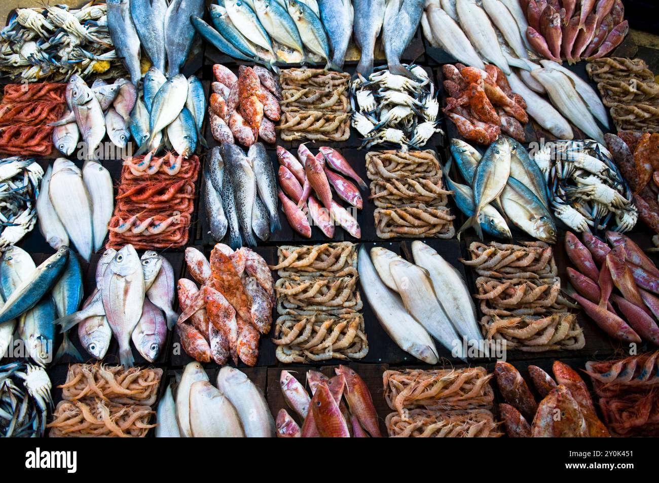 A colorful fish & seafood market by the fishing port in Alexandria ...