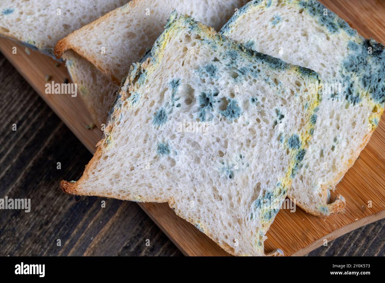 mold-covered sliced wheat bread, spoiled mold-covered dangerous pieces ...