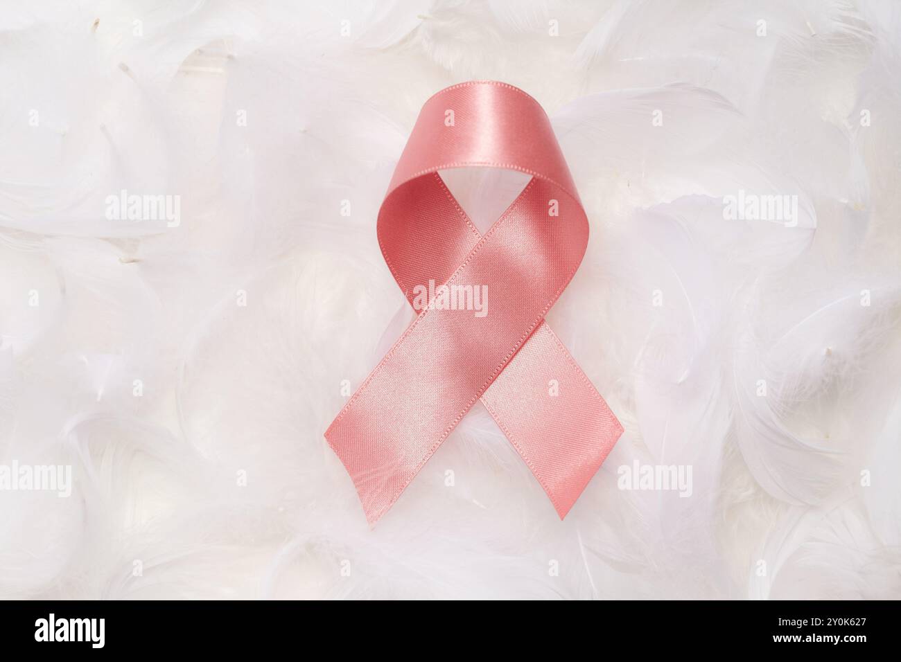 Pink ribbon and feathers Stock Photo - Alamy