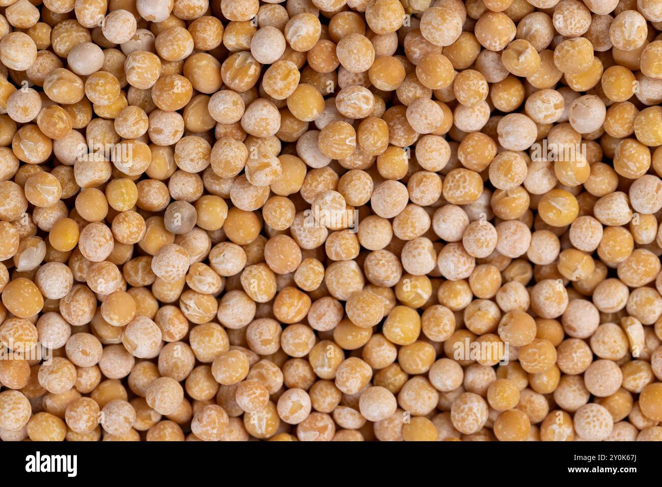 Round yellow peas for cooking porridge, raw yellow peas scattered ...