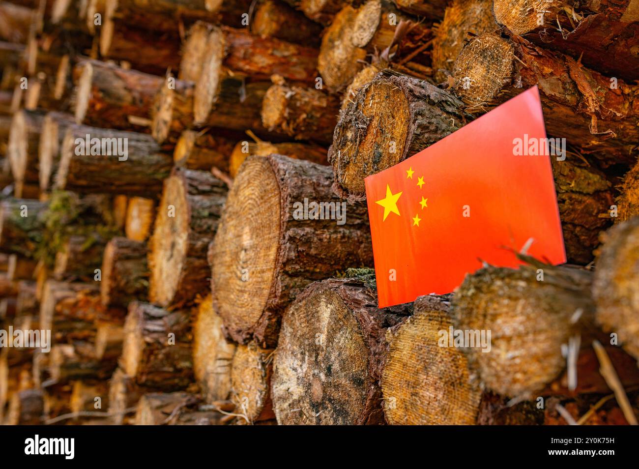 UN Climate Change Conference. China Deforestation. Ecological disaster ...