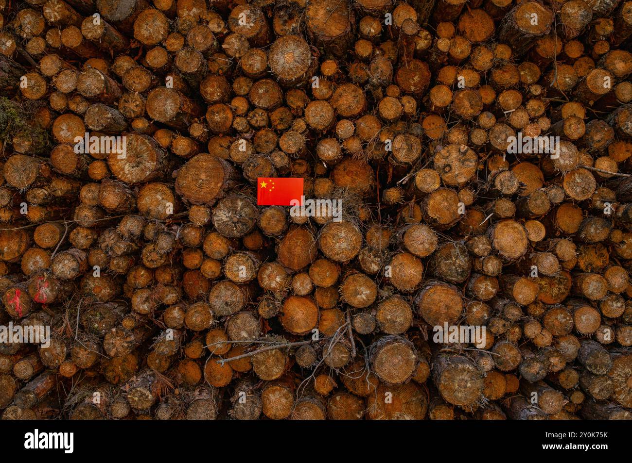 UN Climate Change Conference. China Deforestation. Ecological disaster ...