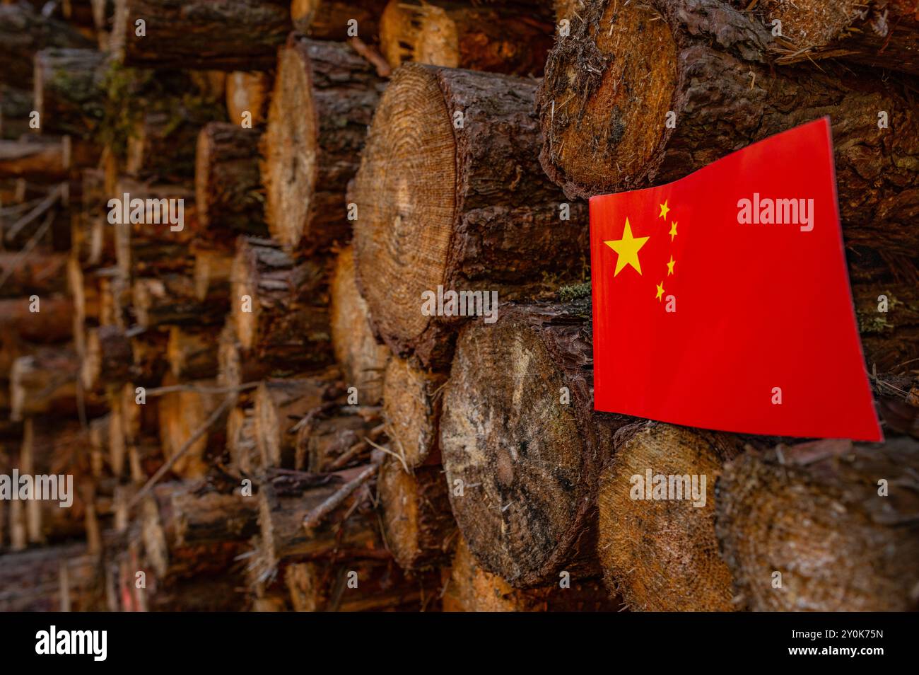 UN Climate Change Conference. China Deforestation. Ecological disaster ...