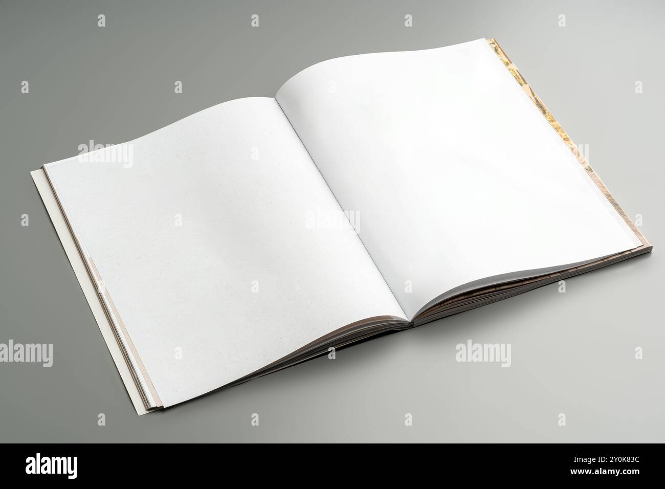 A blank open notebook resting on a neutral background during daylight ...