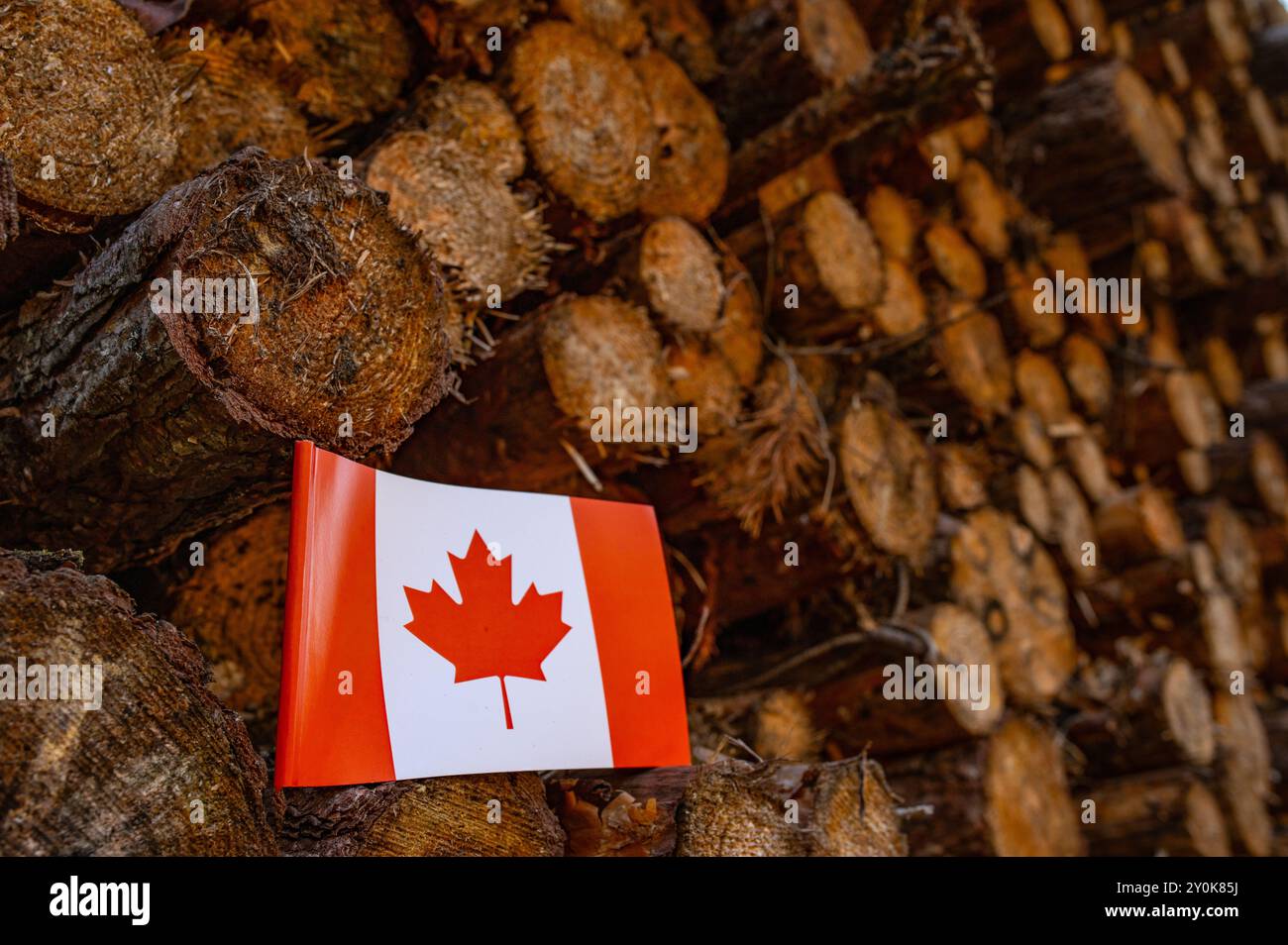 UN Climate Change Conference. Canada Deforestation. Ecological disaster ...