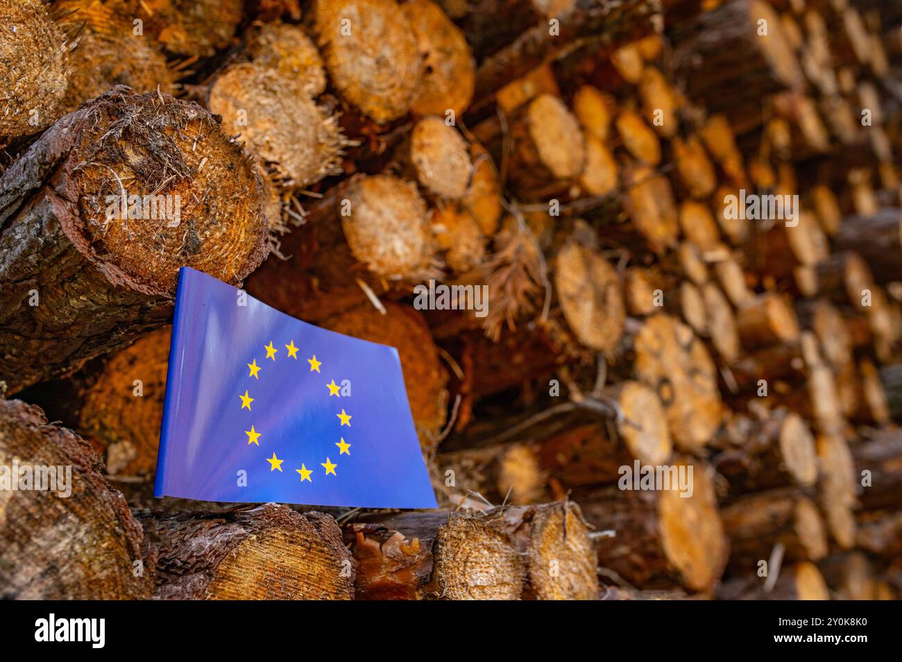 UN Climate Change Conference. China Deforestation. Ecological disaster ...