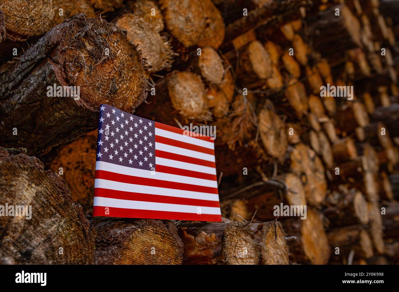 UN Climate Change Conference. The United States Deforestation ...
