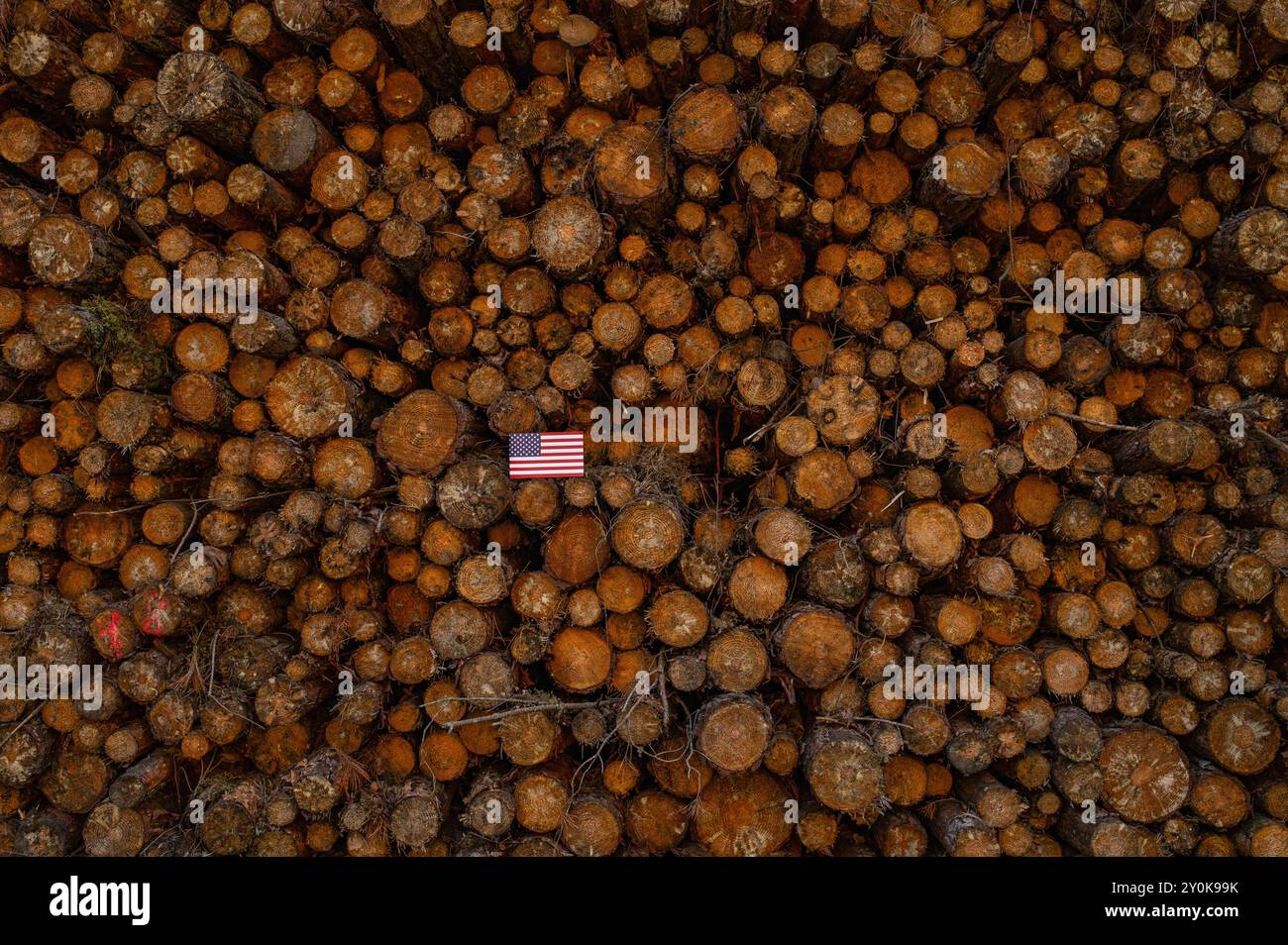 UN Climate Change Conference. The United States Deforestation ...