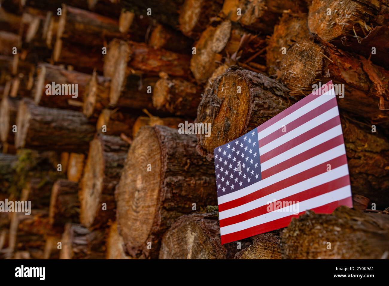 UN Climate Change Conference. The United States Deforestation ...
