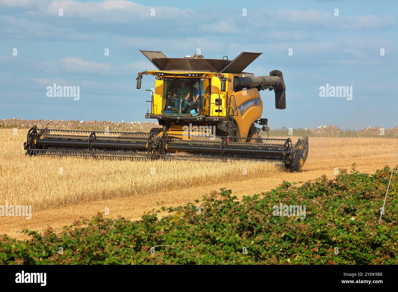 Double width cutter hi-res stock photography and images - Alamy