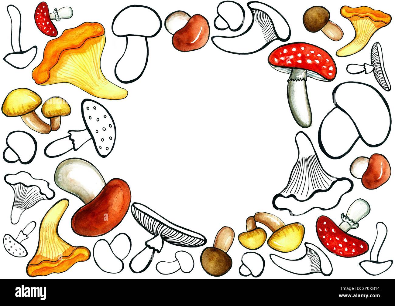 Round frame from set of mushrooms. Mushrooms of various shapes and ...