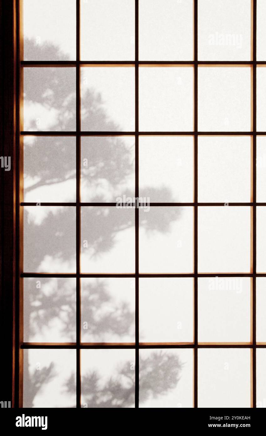 Shoji (paper sliding door) reflecting the shadow of branches of pine Stock Photo - Alamy