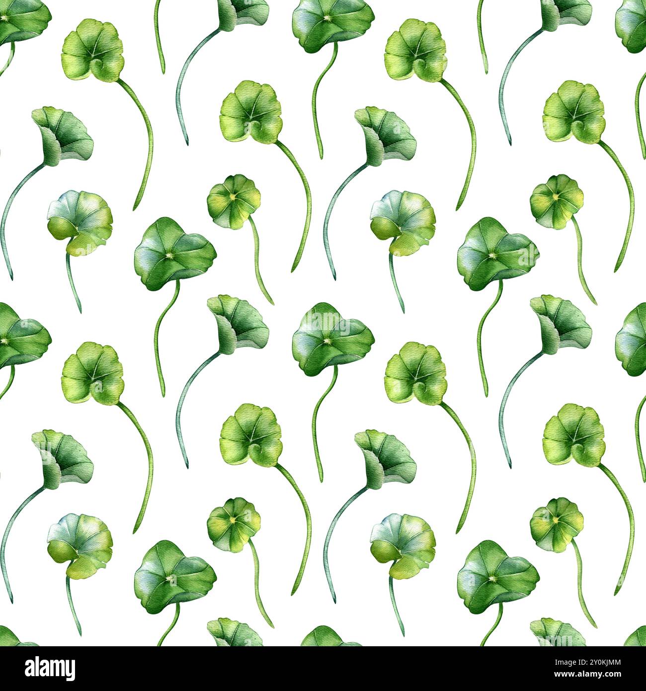 Centella asiatica in botanical style on watercolor seamless pattern ...