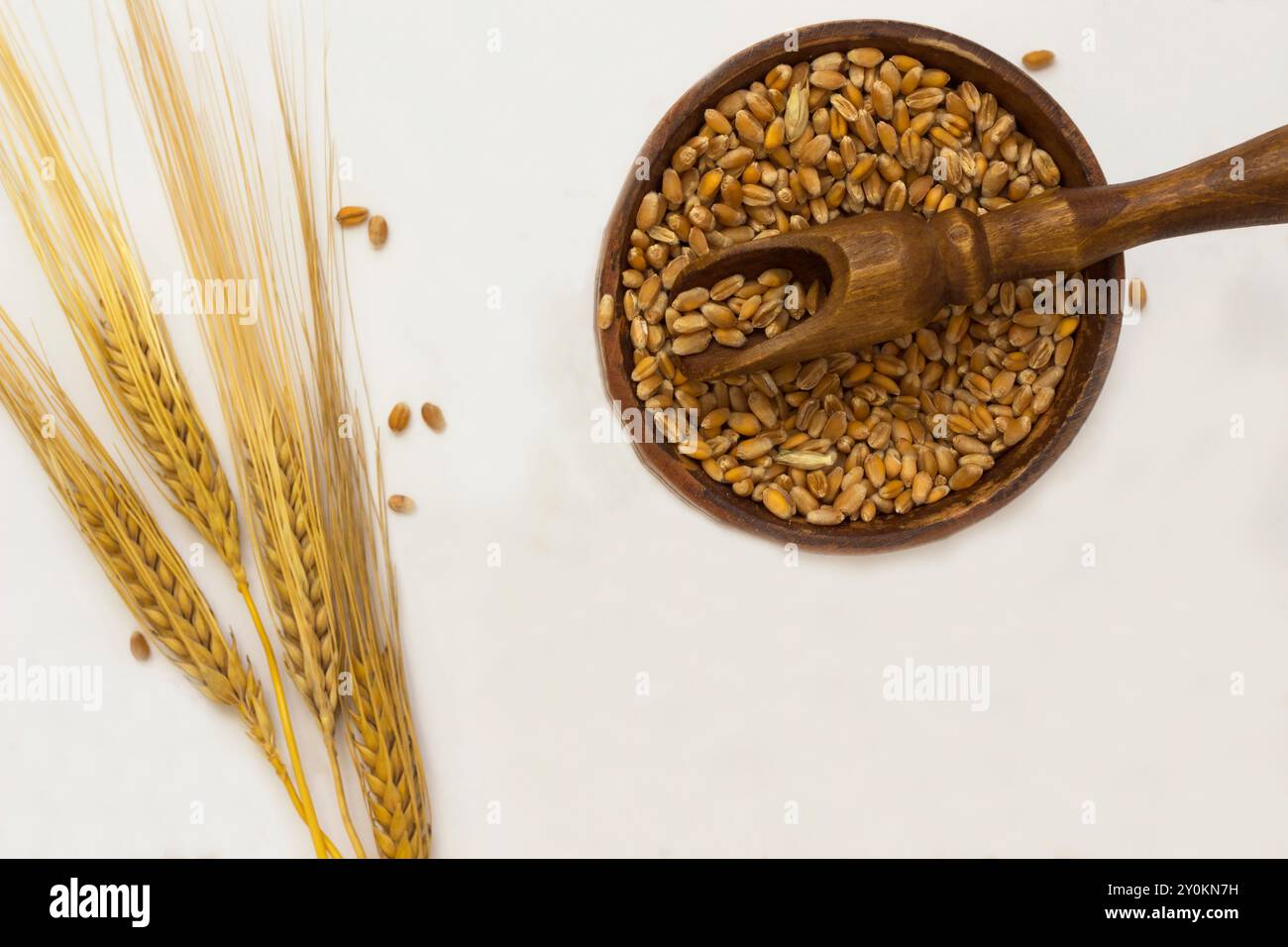 Four spikelets of wheat, wooden spoons, a box with a grain of wheat ...