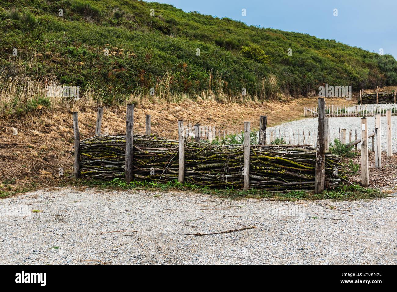 Dry hedge or Benjes hedge made of maintenance pruning branches, dead ...