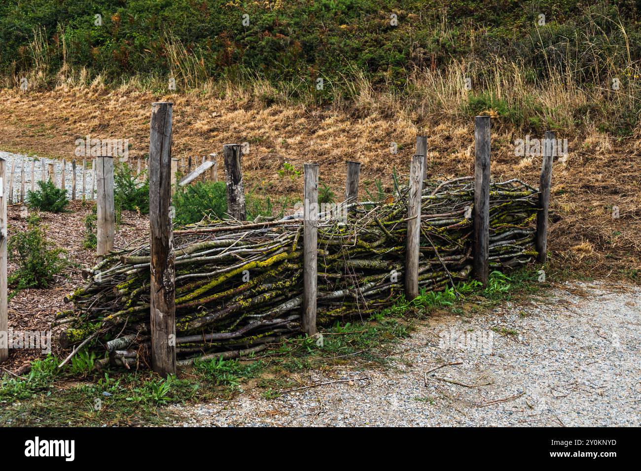 Dry hedge or Benjes hedge made of maintenance pruning branches, dead ...