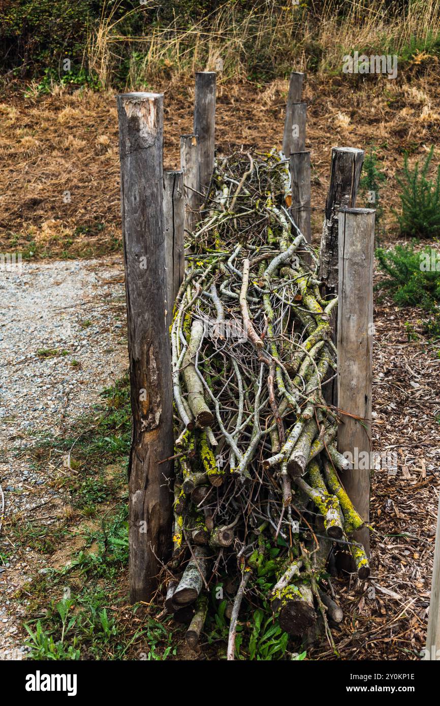 Dry hedge or Benjes hedge made of maintenance pruning branches, dead ...