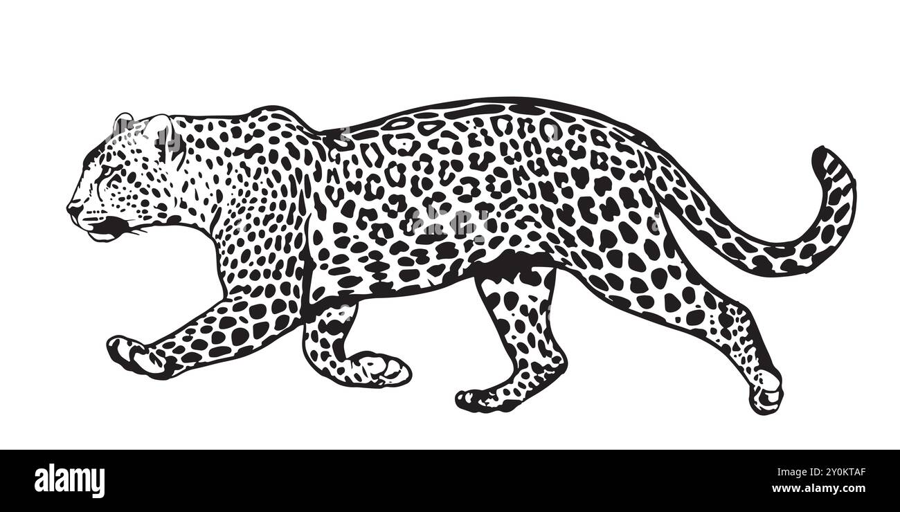 Running leopard. big wild cat african design character vector ...