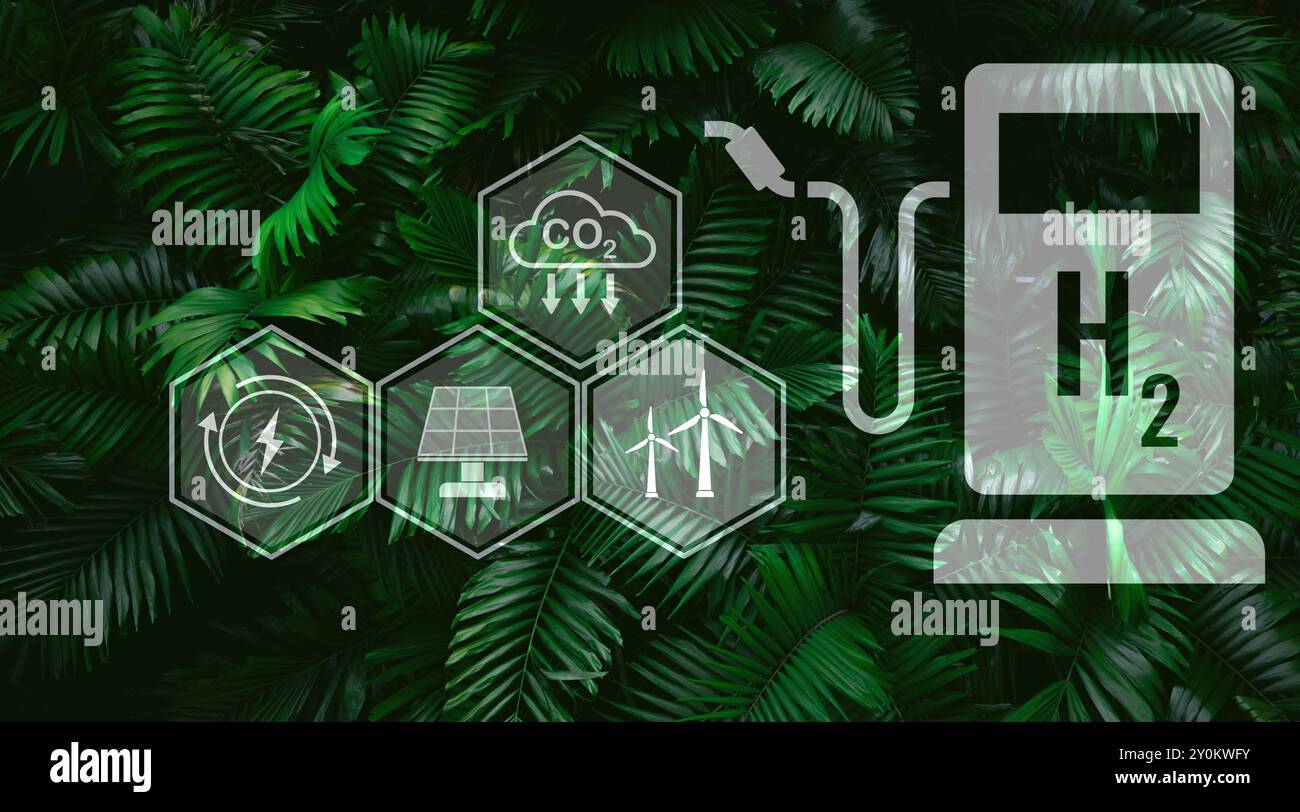 Green hydrogen energy generation using sustainable renewable resources ...