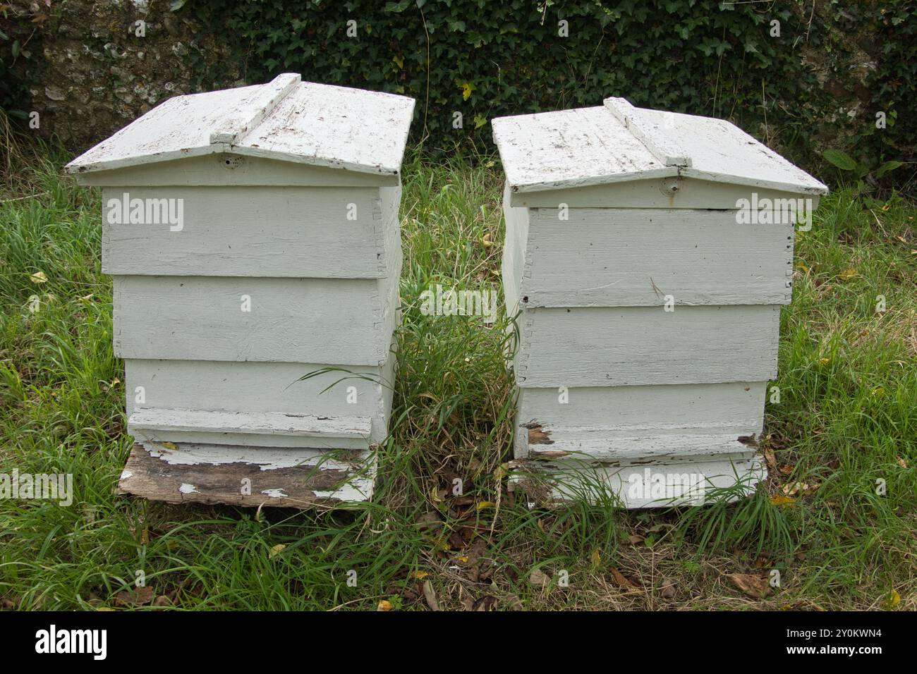 Monk`s House, Rodmell, East Sussex, home of Leonard and Virginia Woolf ...