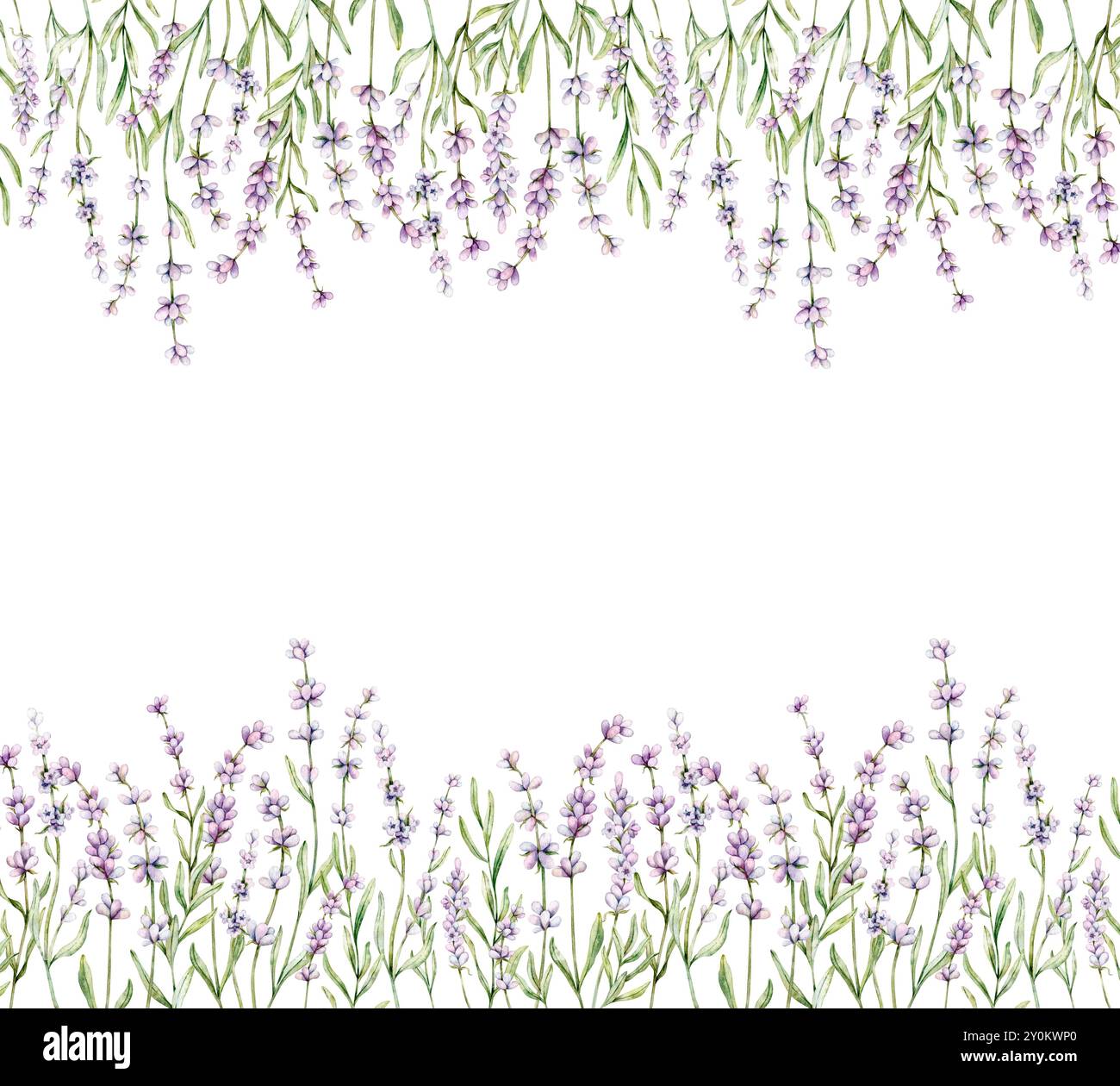 Watercolor Frame of Lavender flower. Floral Clipart. Hand drawn ...