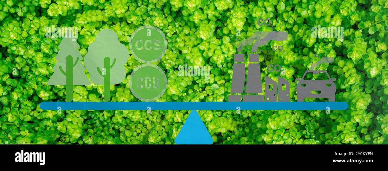 Carbon neutrality. Balancing CO2 emissions from industry and transport ...