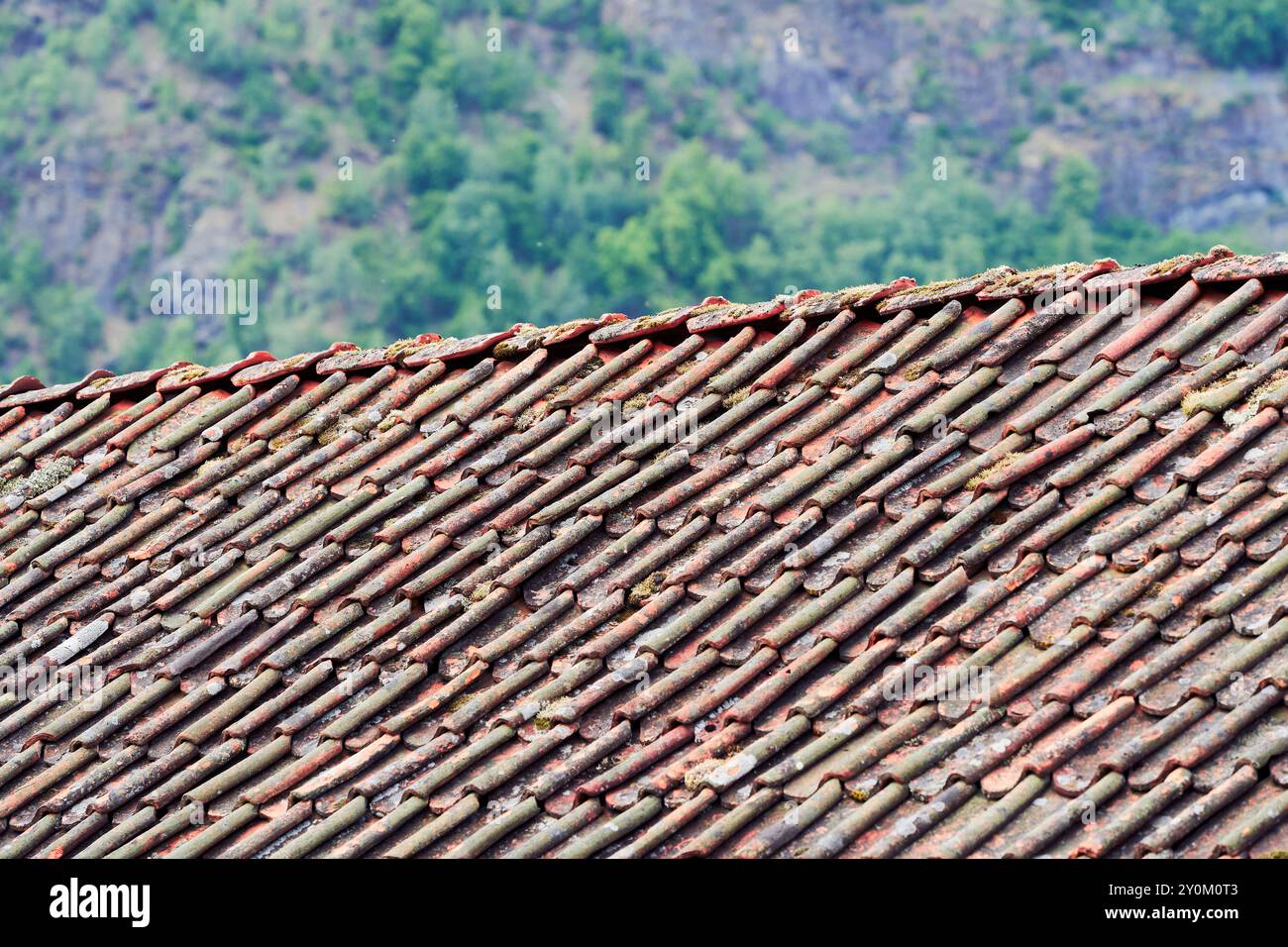 Roof tiles from Otternes "klyngetun" of the fjord of Sognefjorden ...