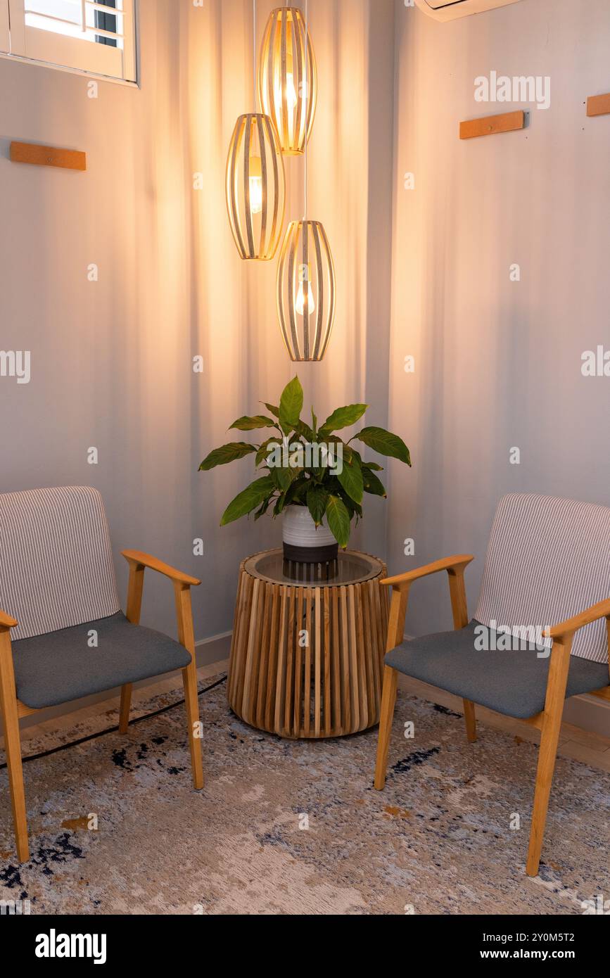 Modern waiting area with stylish chairs, wooden table, and hanging ...