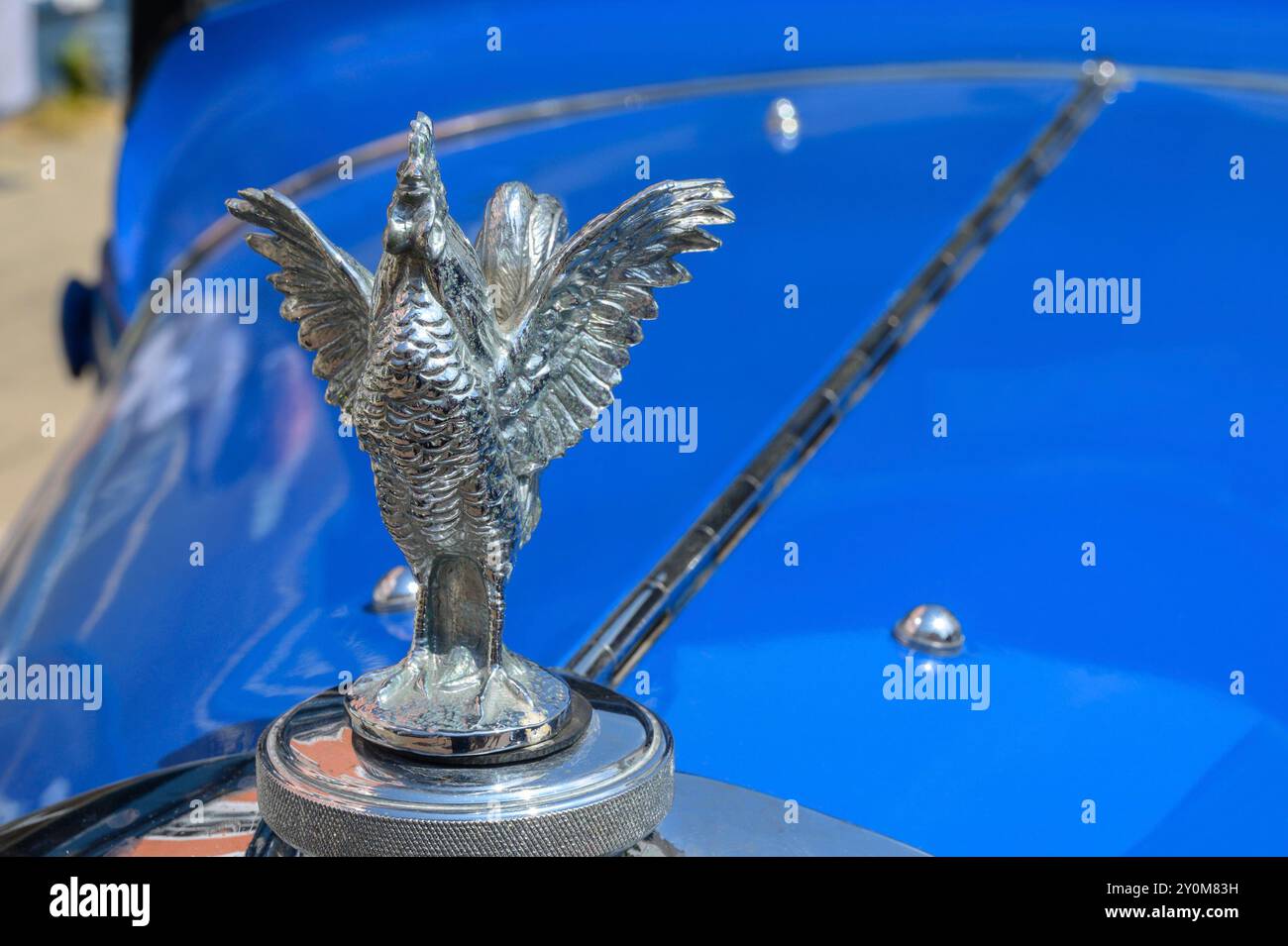 Car mascot hi-res stock photography and images - Alamy