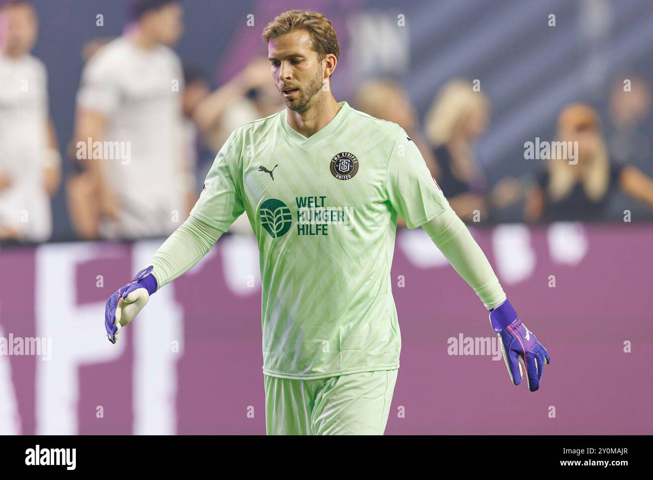 Cologne, Deutschland. 01st Sep, 2024. firo : 01.09.2024, Football ...