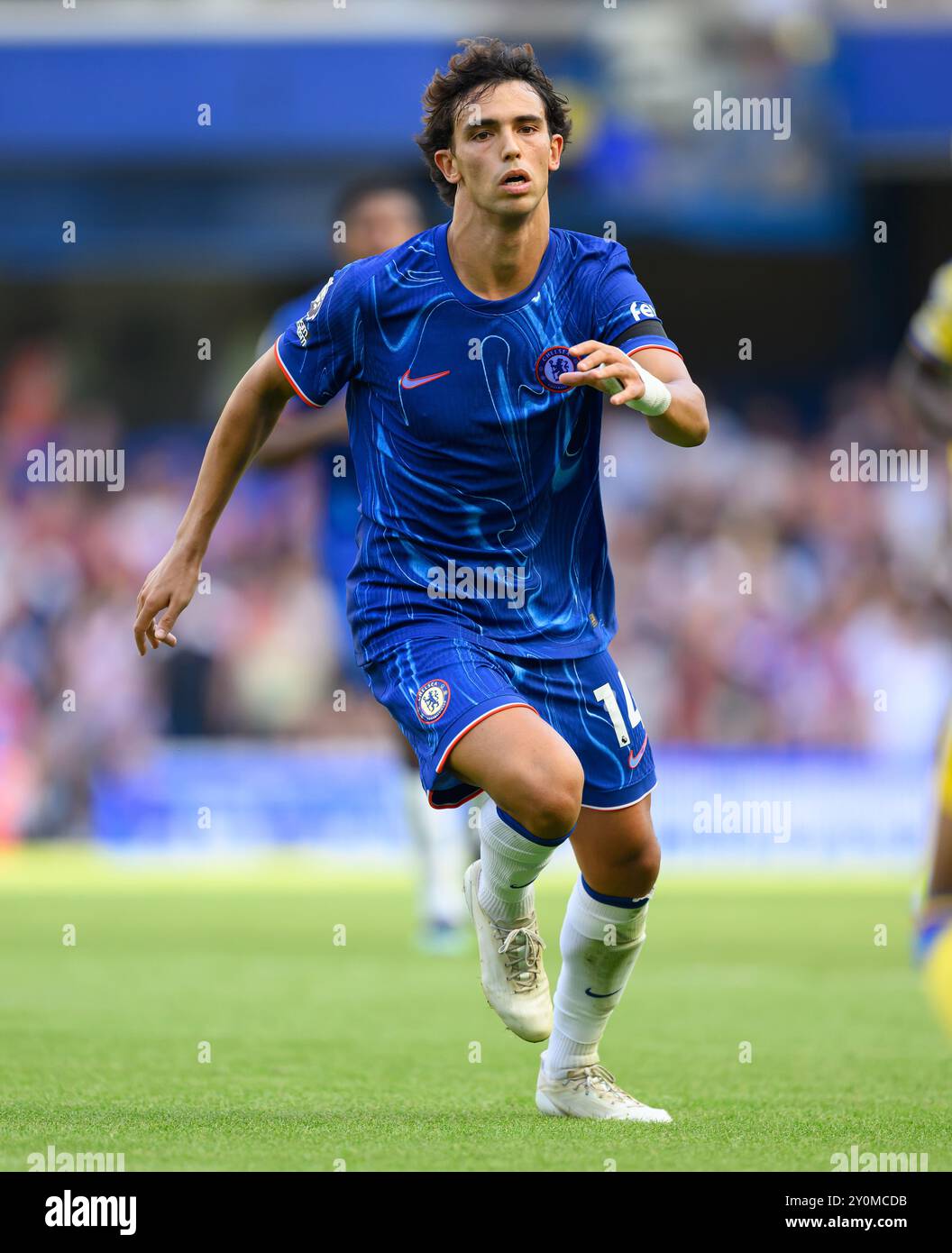 Joao Felix Chelsea 2024 Hi res Stock Photography And Images Alamy Joao Felix Chelsea 2024 Hi res Stock Photography And Images Alamy