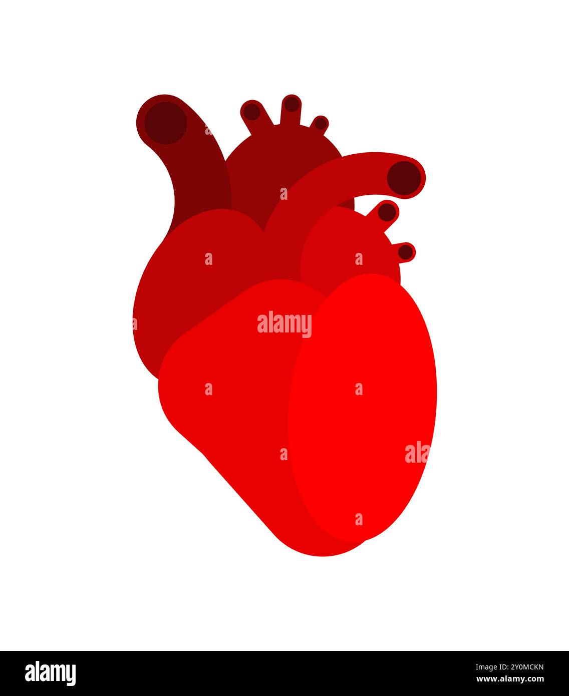 Anatomical heart icon sign. heart symbol Stock Vector Image & Art - Alamy
