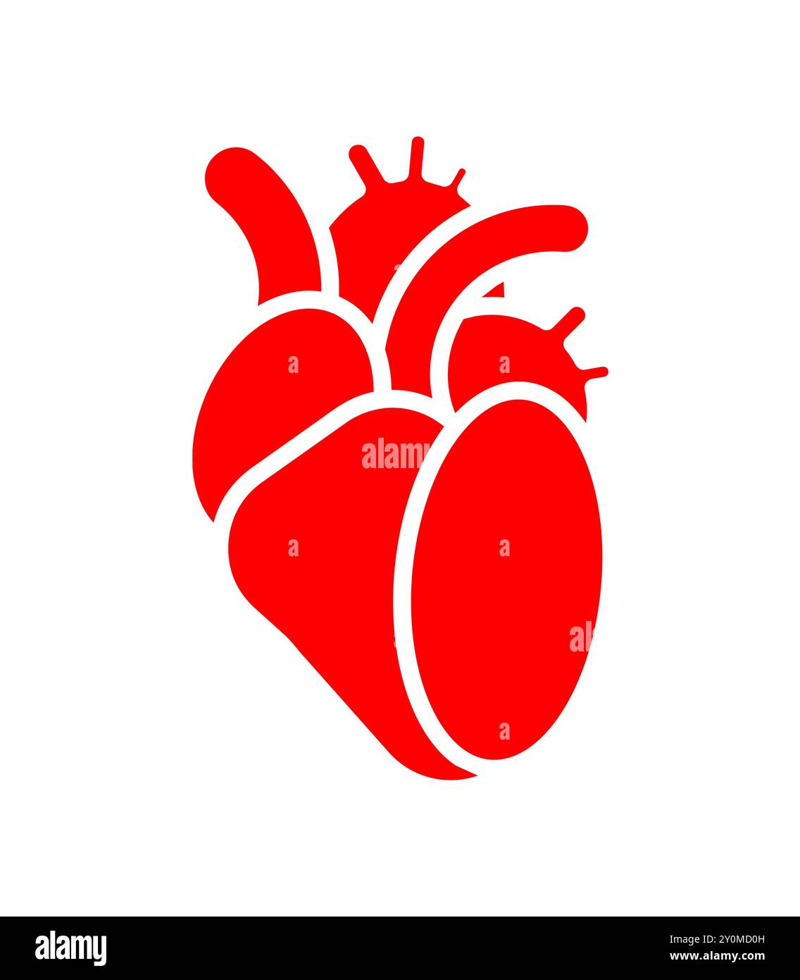 Anatomical heart icon sign. heart symbol Stock Vector Image & Art - Alamy