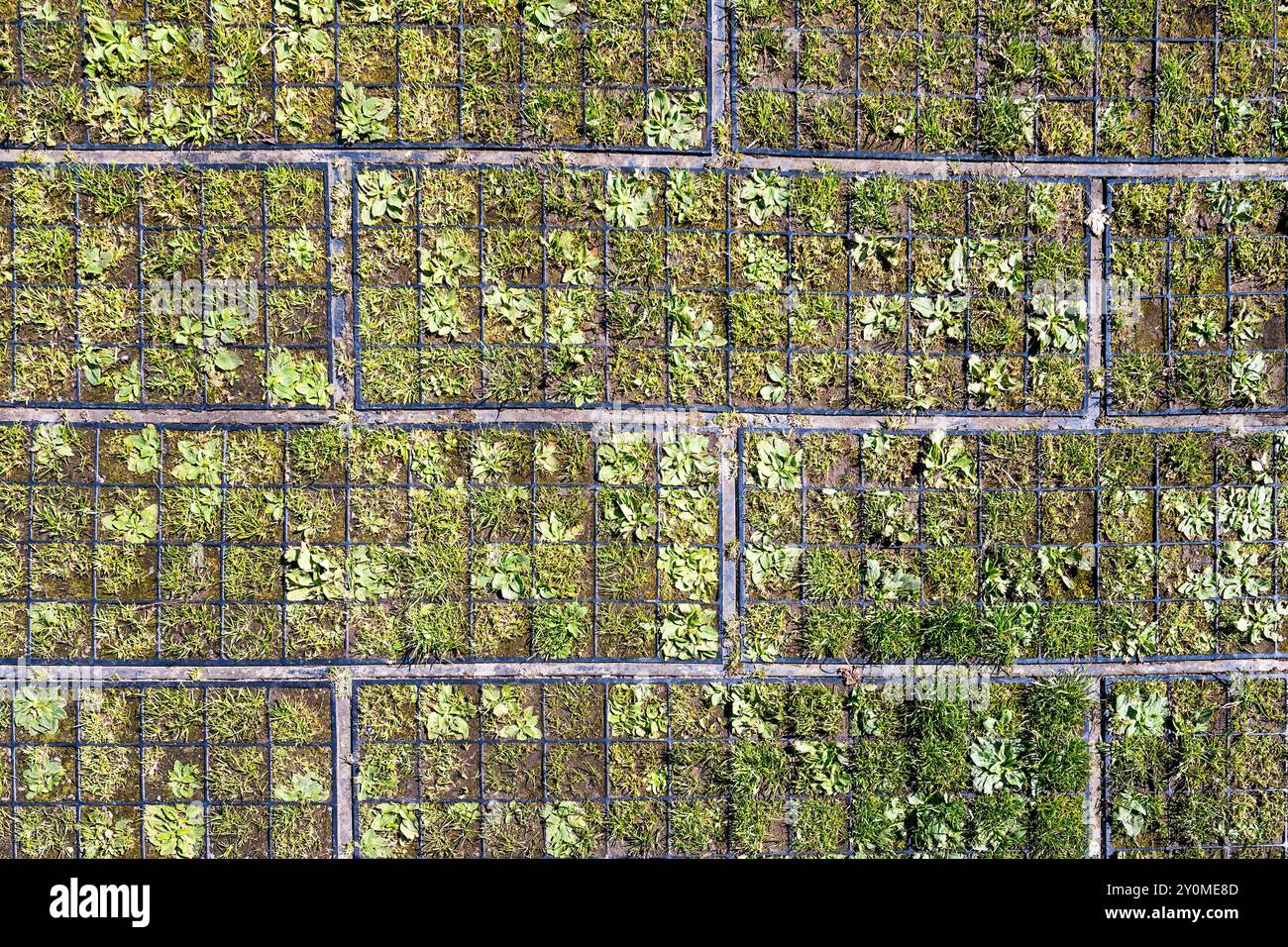 Grass protected by concrete and wire mesh to strengthen it for car ...