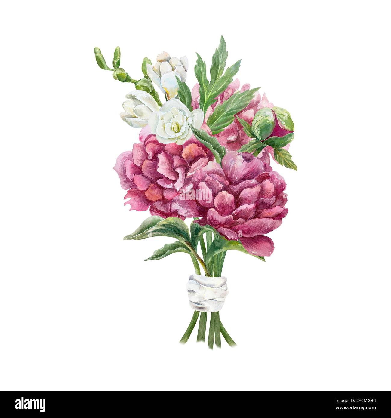 Peonies watercolor. Beautiful bouquet with a branch of white freesia ...