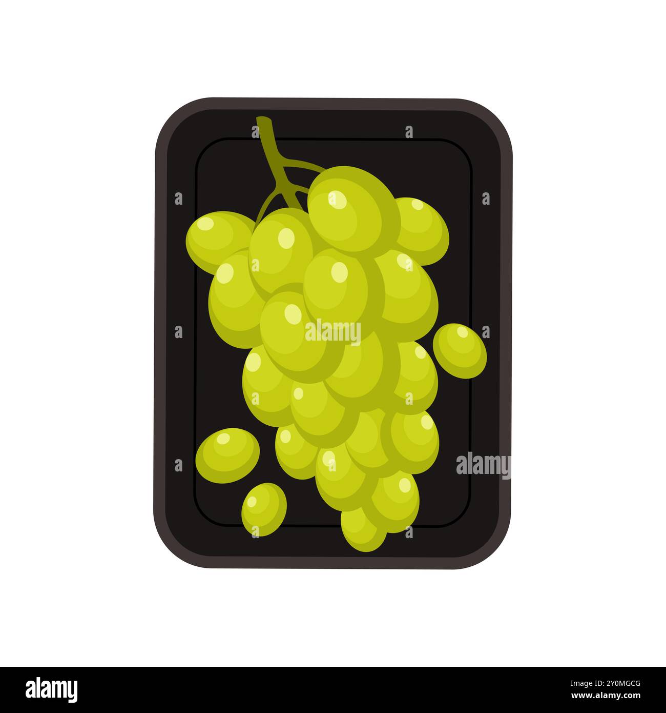 Ripe bunch of green grapes in rectangular plastic tray, top view vector ...