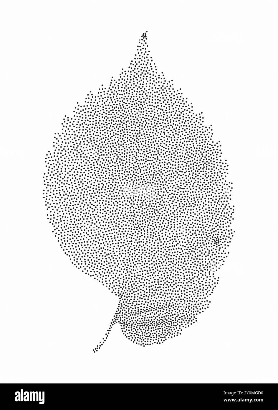 Dotted grainy hornbeam leaf. Monochrome stipple cut out textured tree ...
