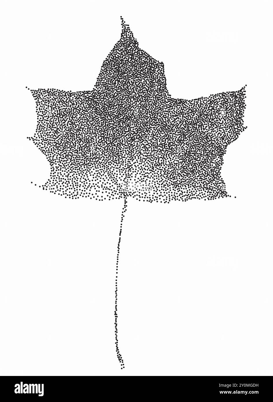 Dotted grainy maple leaf. Vector monochrome stipple cut out textured ...