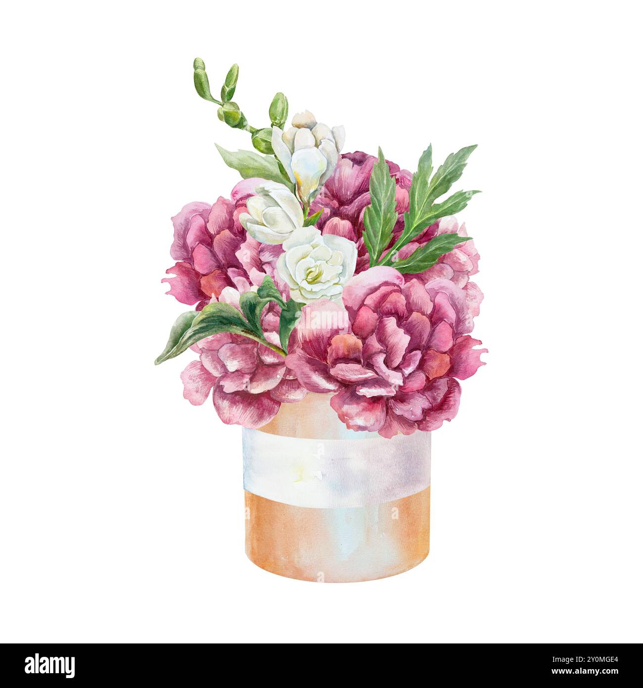 Peonies bouquet with freesia watercolor. Burgundy and white flowers in ...