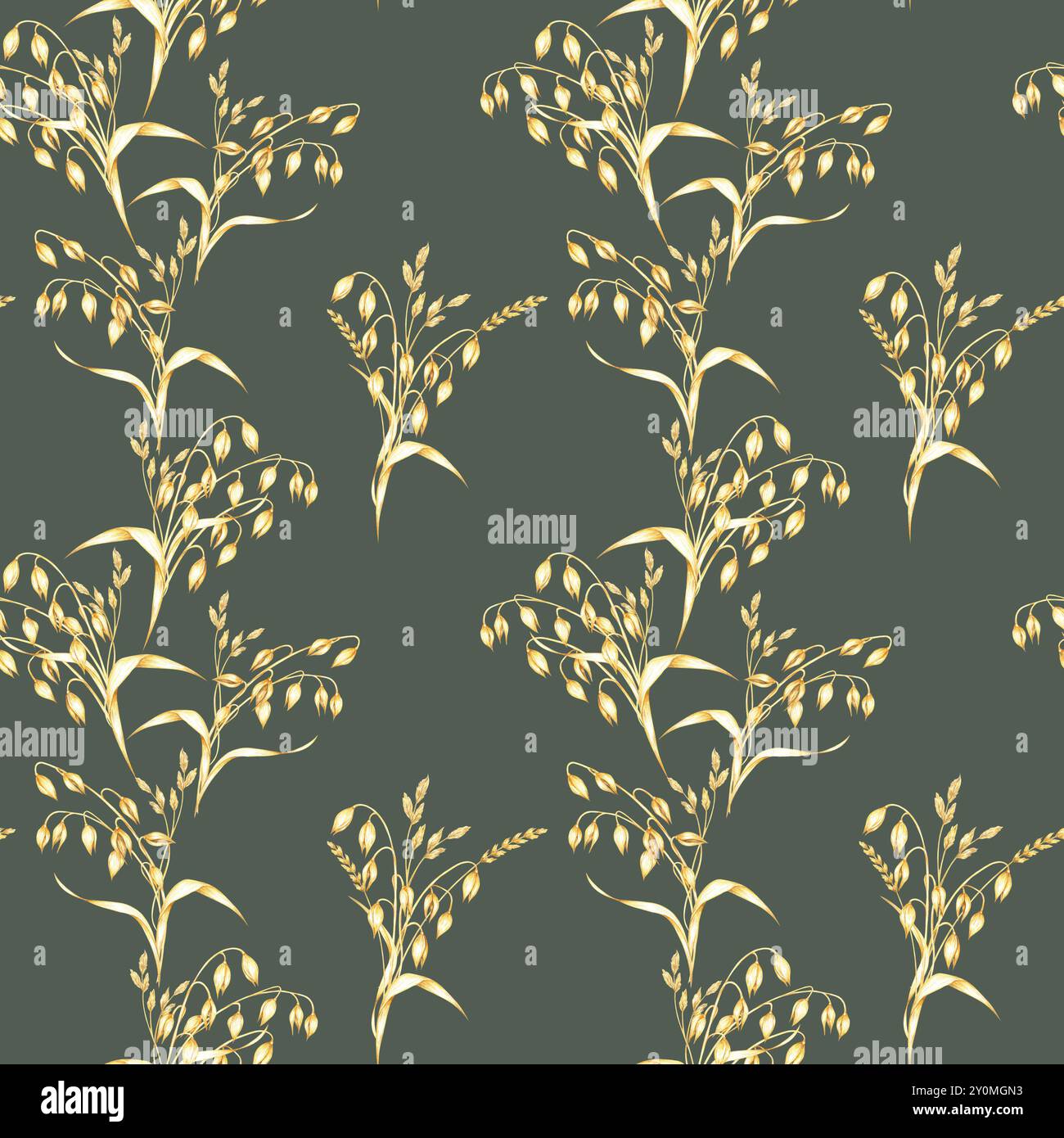 Oats stalks seamless pattern on dark green background. Golden oats ...
