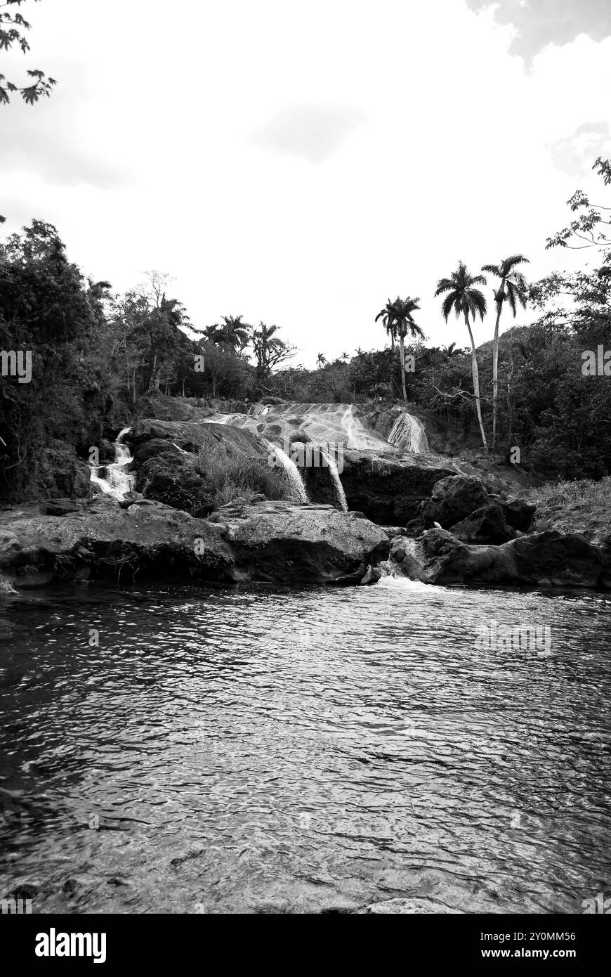 Tropical mountain jungle forest Black and White Stock Photos & Images ...