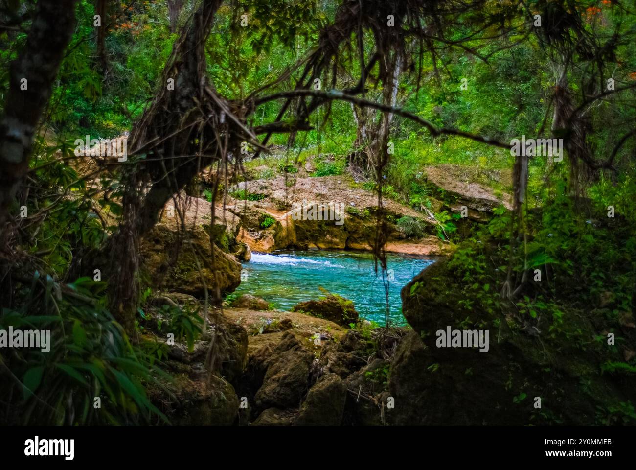 Sendero reino de las aguas waterfall in mountain park on Cuba Stock ...