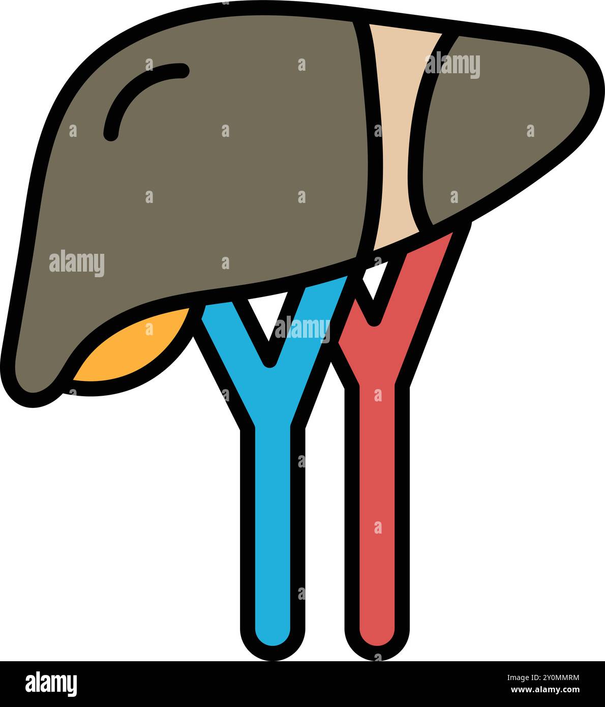 A cartoon drawing of a liver with red and blue veins. The liver is ...