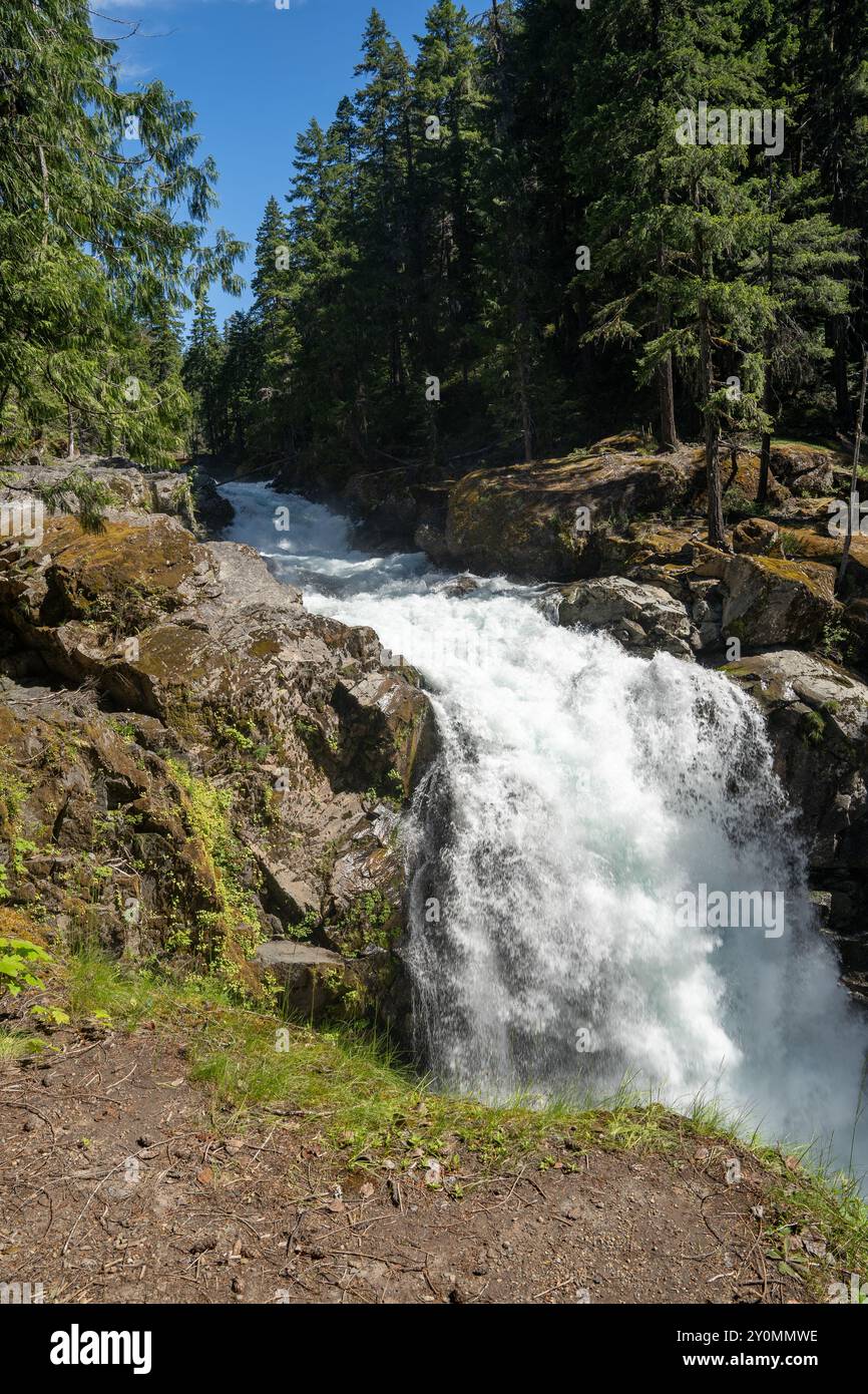 An amazing sunny view of gushing Silver Falls in Mt. Rainier National ...