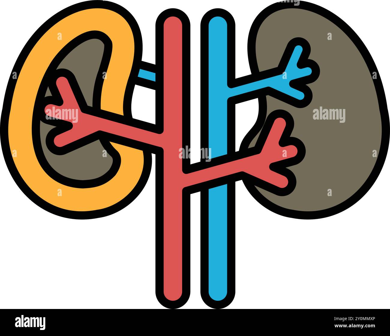 A drawing of a pair of kidneys with red, blue and yellow lines. The ...