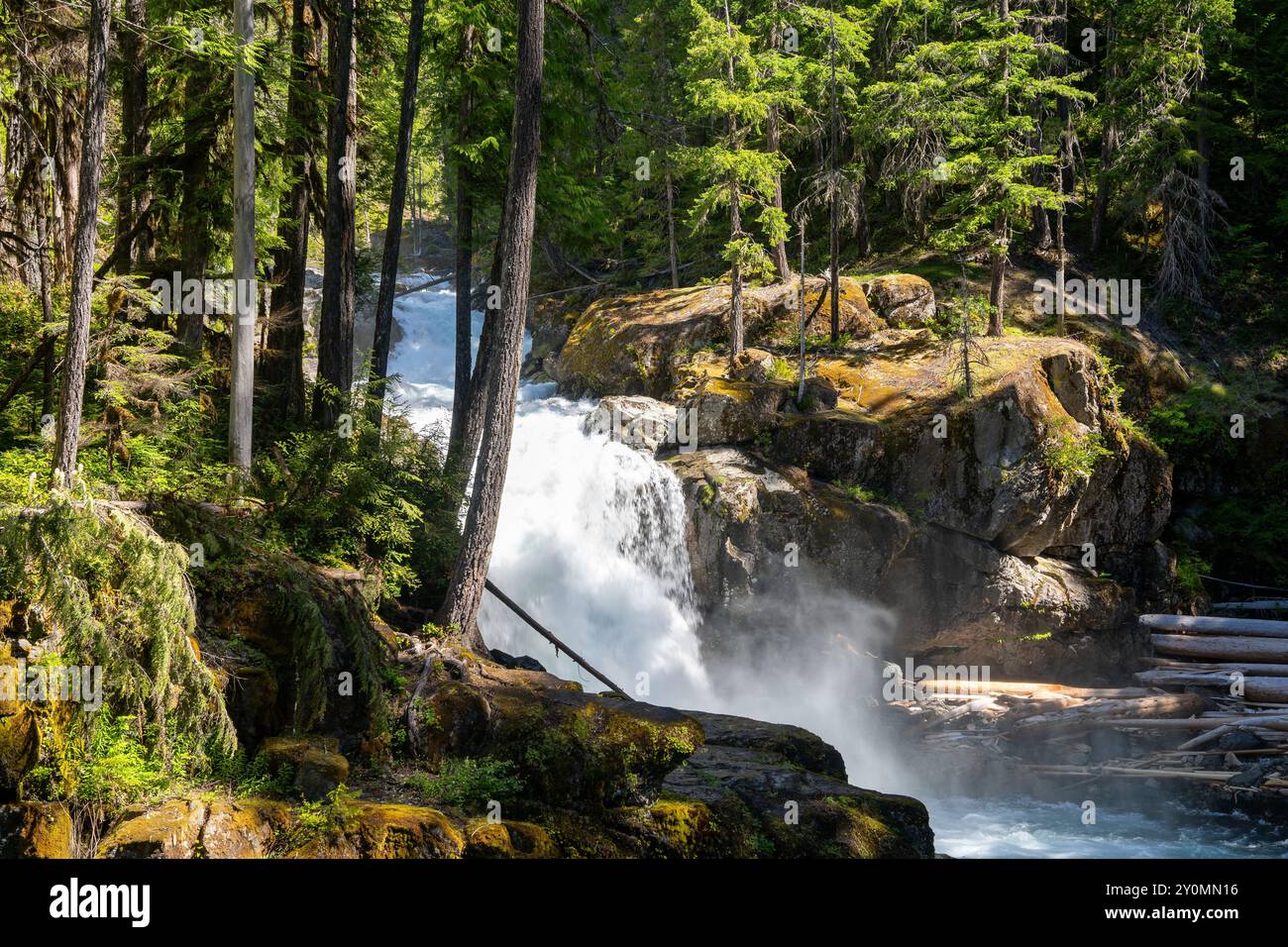 An amazing sunny view of gushing Silver Falls in Mt. Rainier National ...