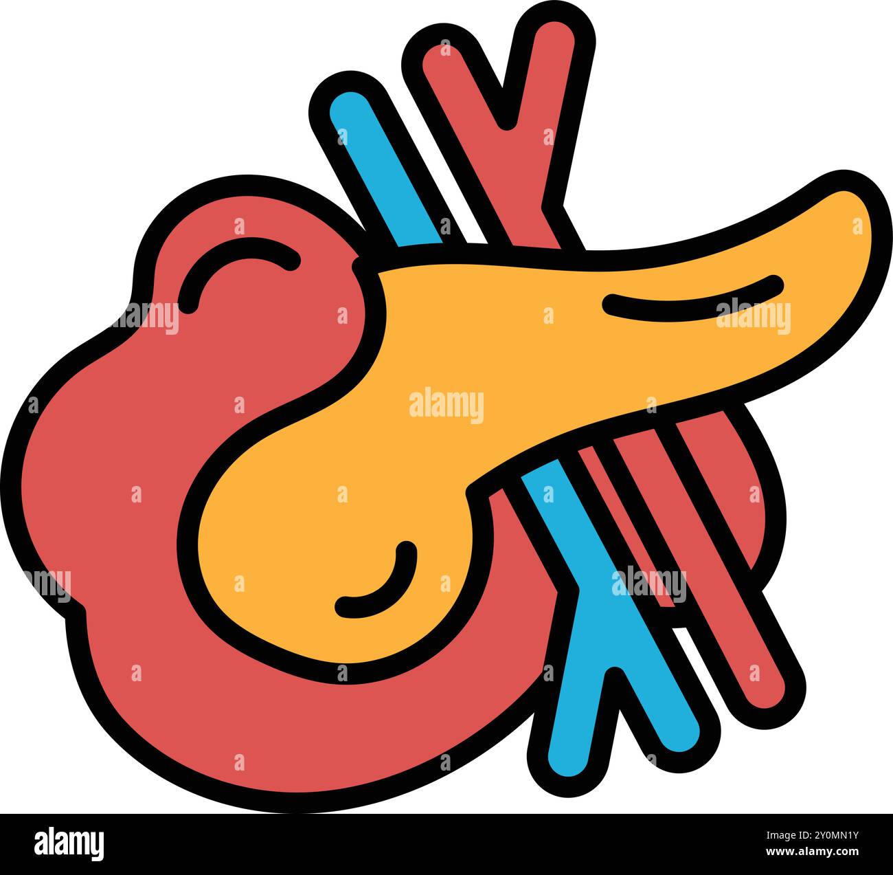 Pancreas cartoon hi-res stock photography and images - Alamy