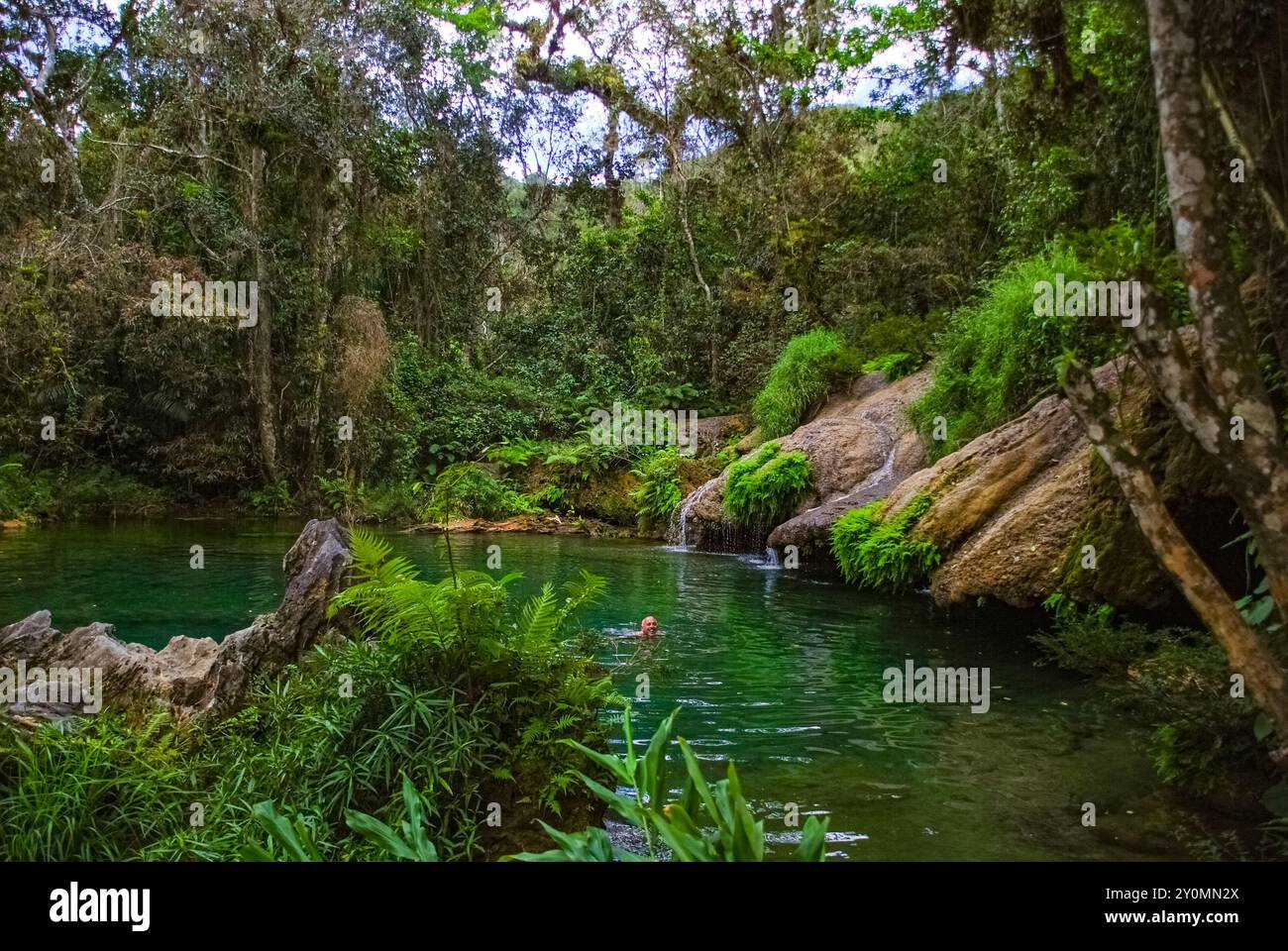 Sendero reino de las aguas waterfall in mountain park on Cuba Stock ...