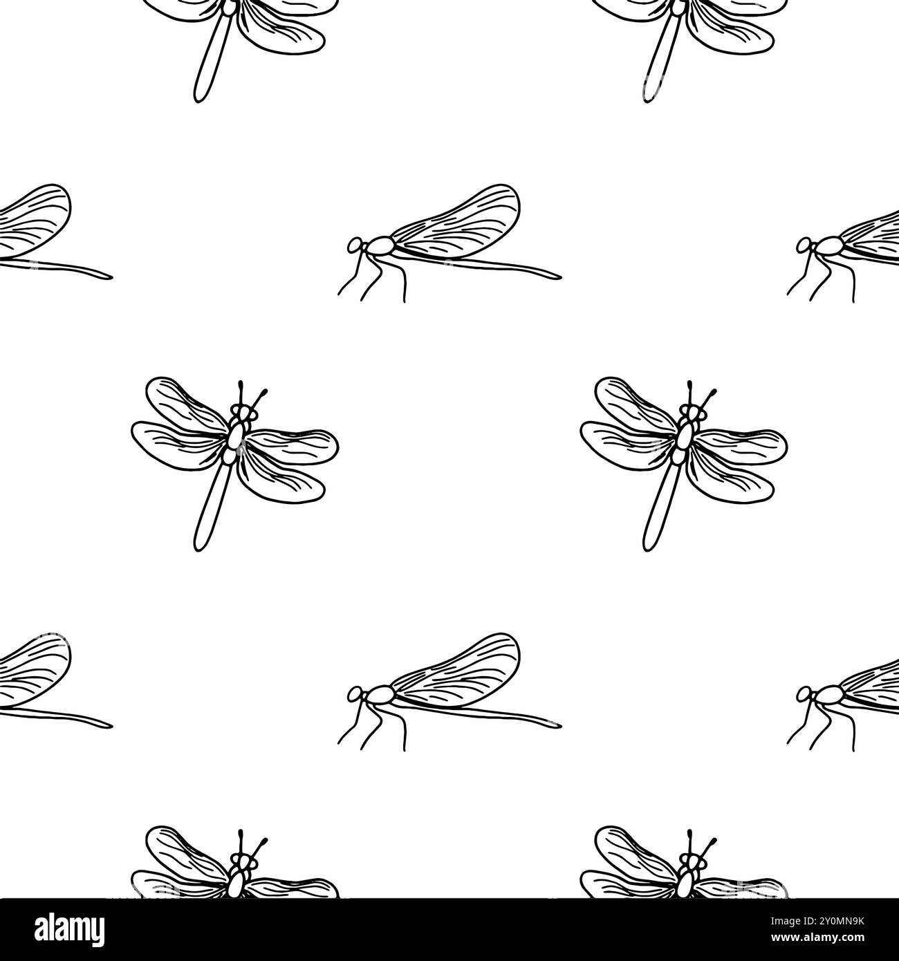 Dragonfly. Vector illustration. Monochrome seamless pattern. Dragonfly ...